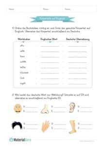 Körper / Body - MaterialGuru