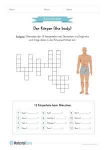 Körper / Body - MaterialGuru