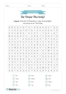 Körper / Body - MaterialGuru