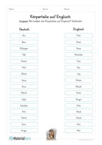 Körper / Body - MaterialGuru