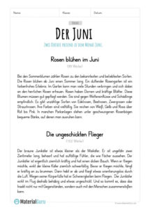 Der Juni - MaterialGuru