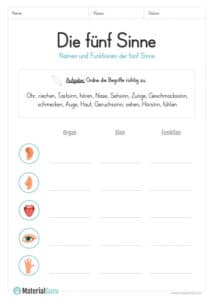 Die 5 Sinne - MaterialGuru