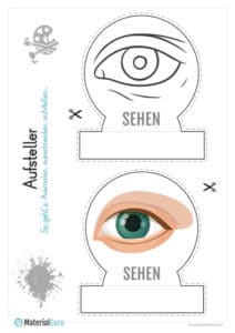 Die 5 Sinne - MaterialGuru